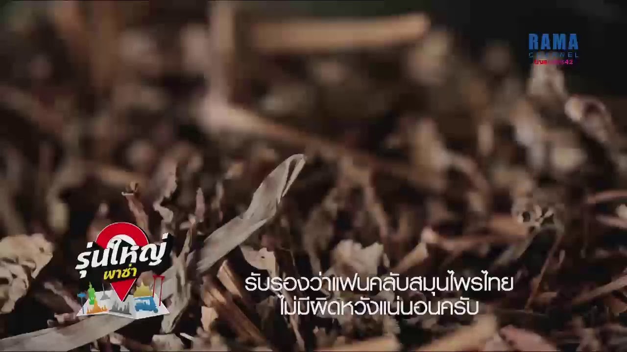 Rama Channel TV Live Stream - YouTube