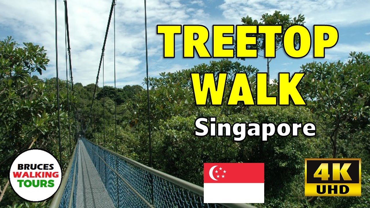 Treetop Walk - Central Catchment Nature Reserve - Singapore - YouTube