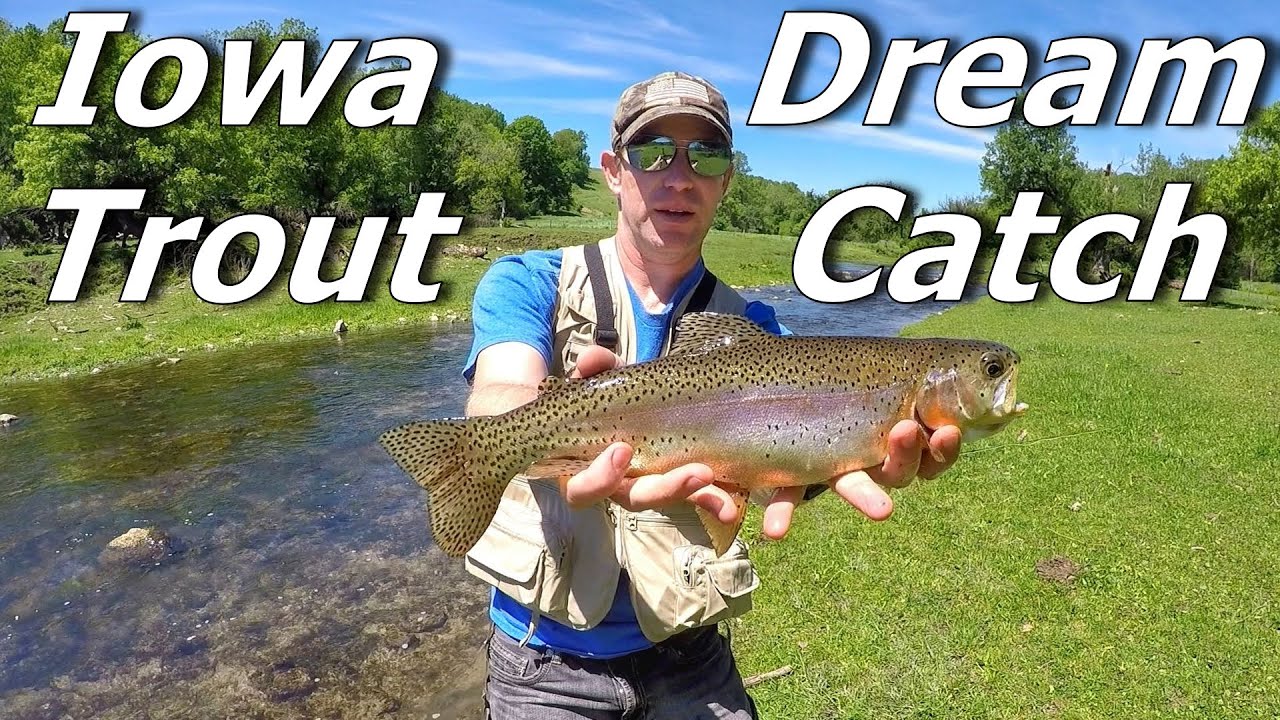 My BIGGEST Iowa Driftless Rainbow Trout EVER!! | Waterloo Creek | HUGE ...
