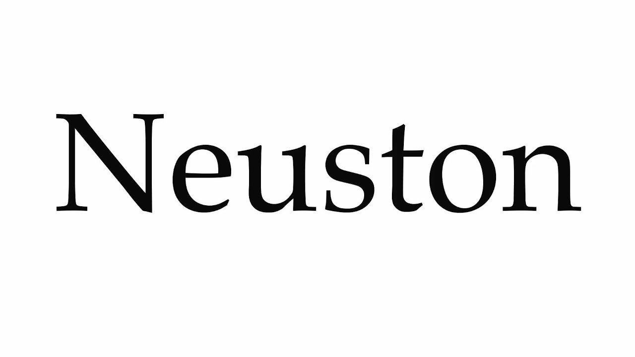 How to Pronounce Neuston - YouTube