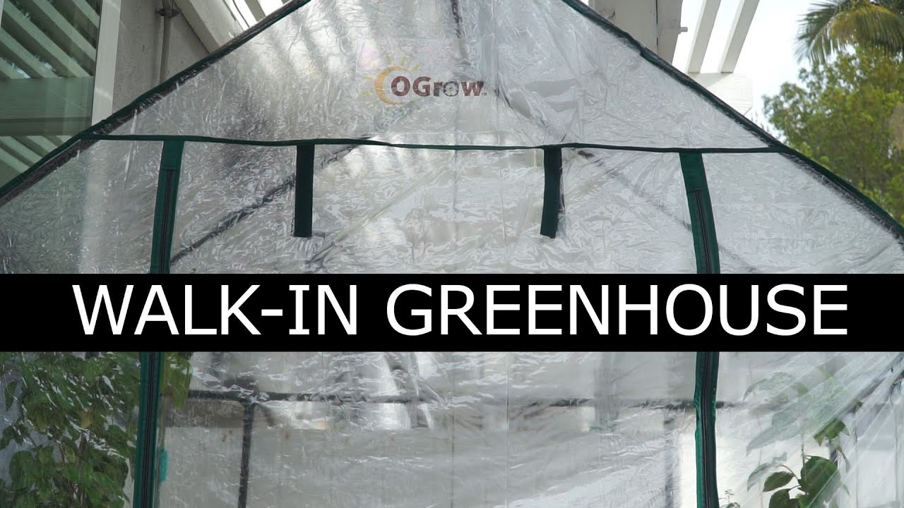 Grow All Year Long Using A Walk-In Greenhouse - YouTube