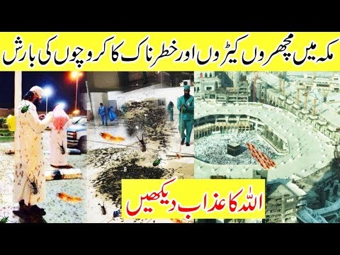 Khana Kaaba insects attack - Haram Shariff January 2019 Video - YouTube