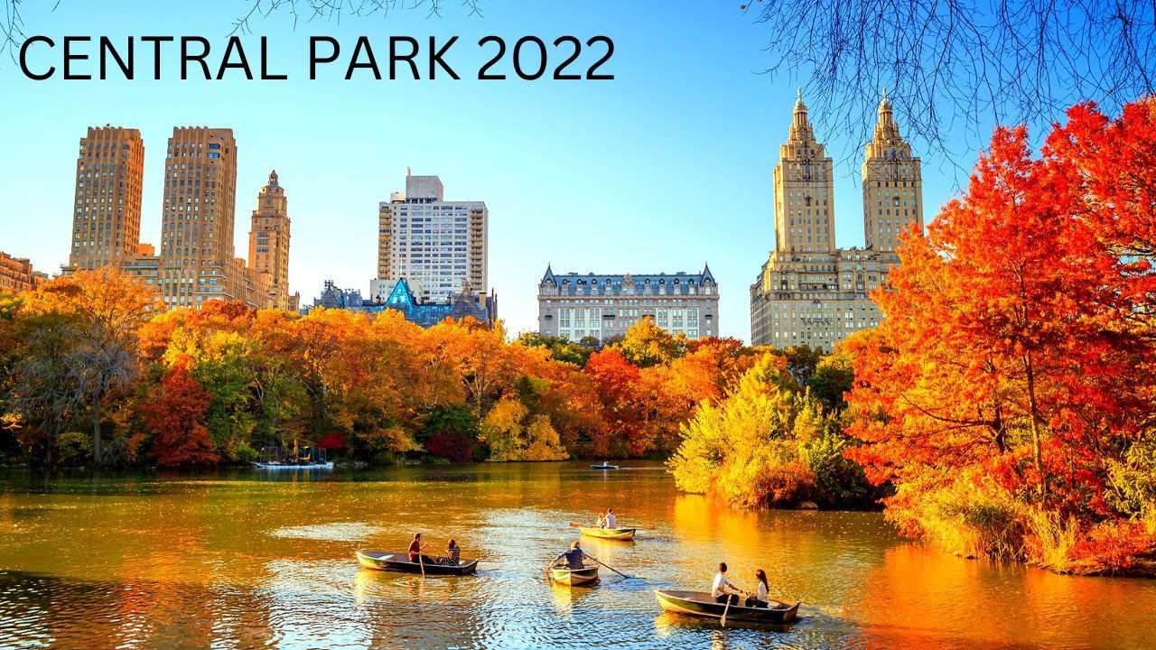 4K Central Park During Fall ( Peak Foliage Central Park New York City ...