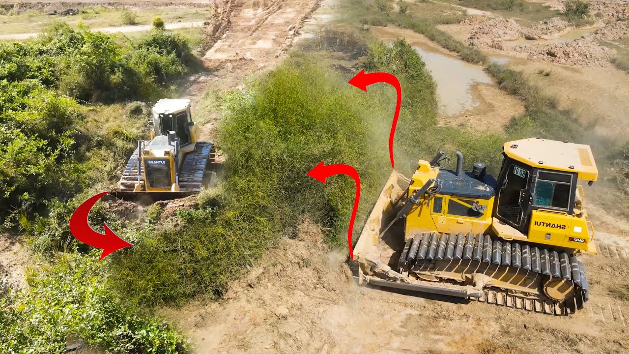 Best Collection Forest With Big Bulldozer And Clearing Site Moving ...