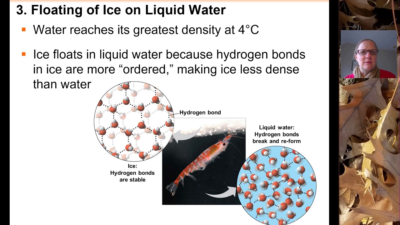 Chapter 3 Ice Floats - YouTube
