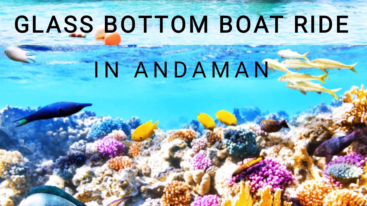 GLASS BOTTOM BOAT RIDE IN ANDAMAN - YouTube