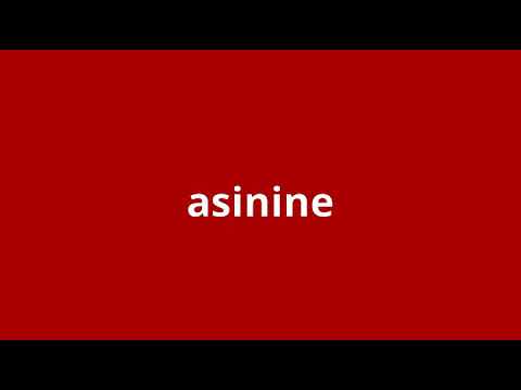 what is the meaning of asinine - YouTube