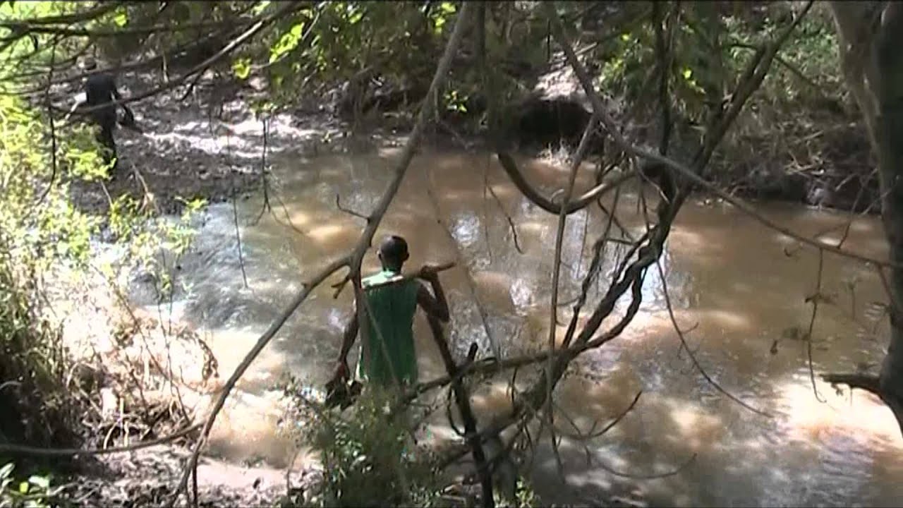 The Mursi "donga" ceremony - YouTube