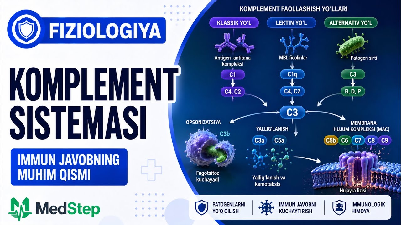 KOMPLEMENT SISTEMASI VA QON GURUHLARI | IMMUNOLOGIYA - YouTube