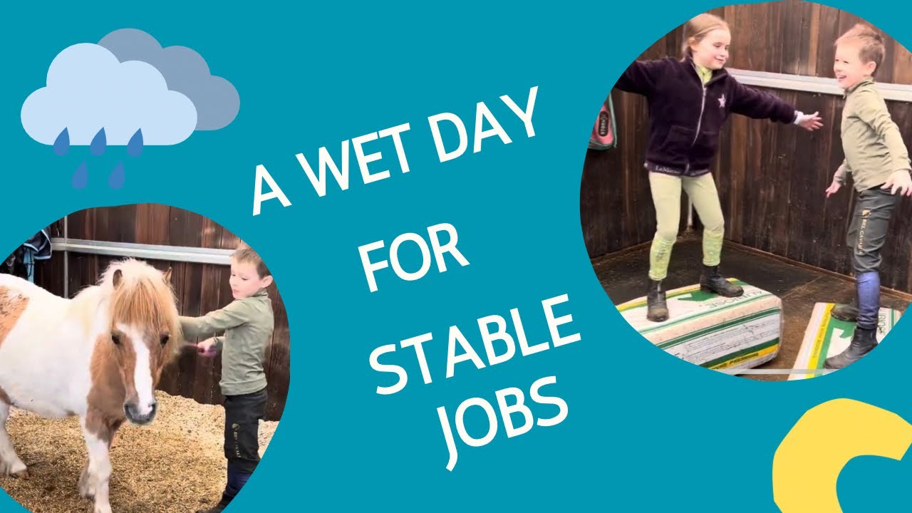 A wet day for stable jobs! - YouTube
