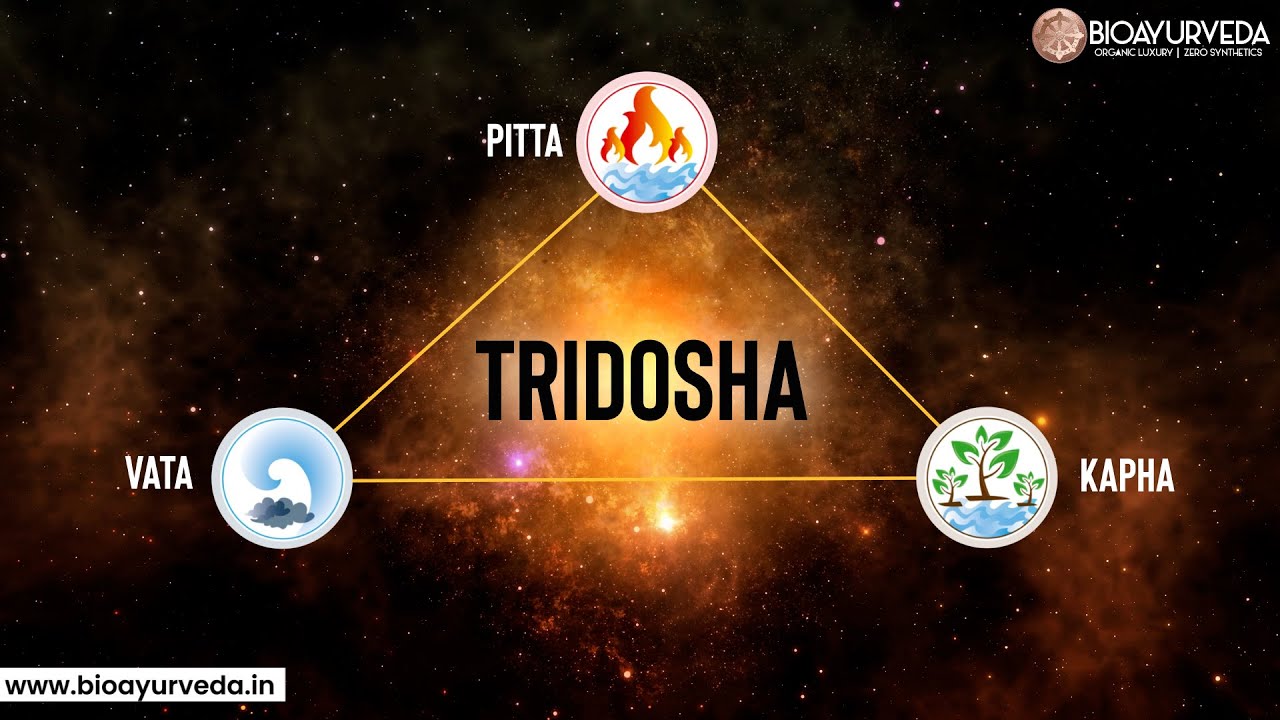 TAP ON TO UNDERSTAND WHAT IS TRIDOSHA IN AYURVEDA AND THE TRIDOSHA ...
