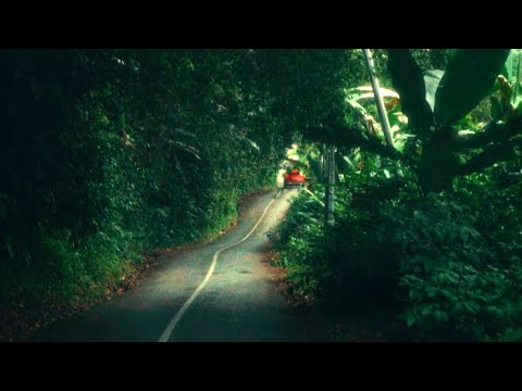 KIYAU CAMPSITE | Cinematic Vlog | Sony a6500 | Film Emulation