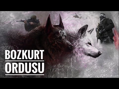 bozkurt ordusu  w/my team