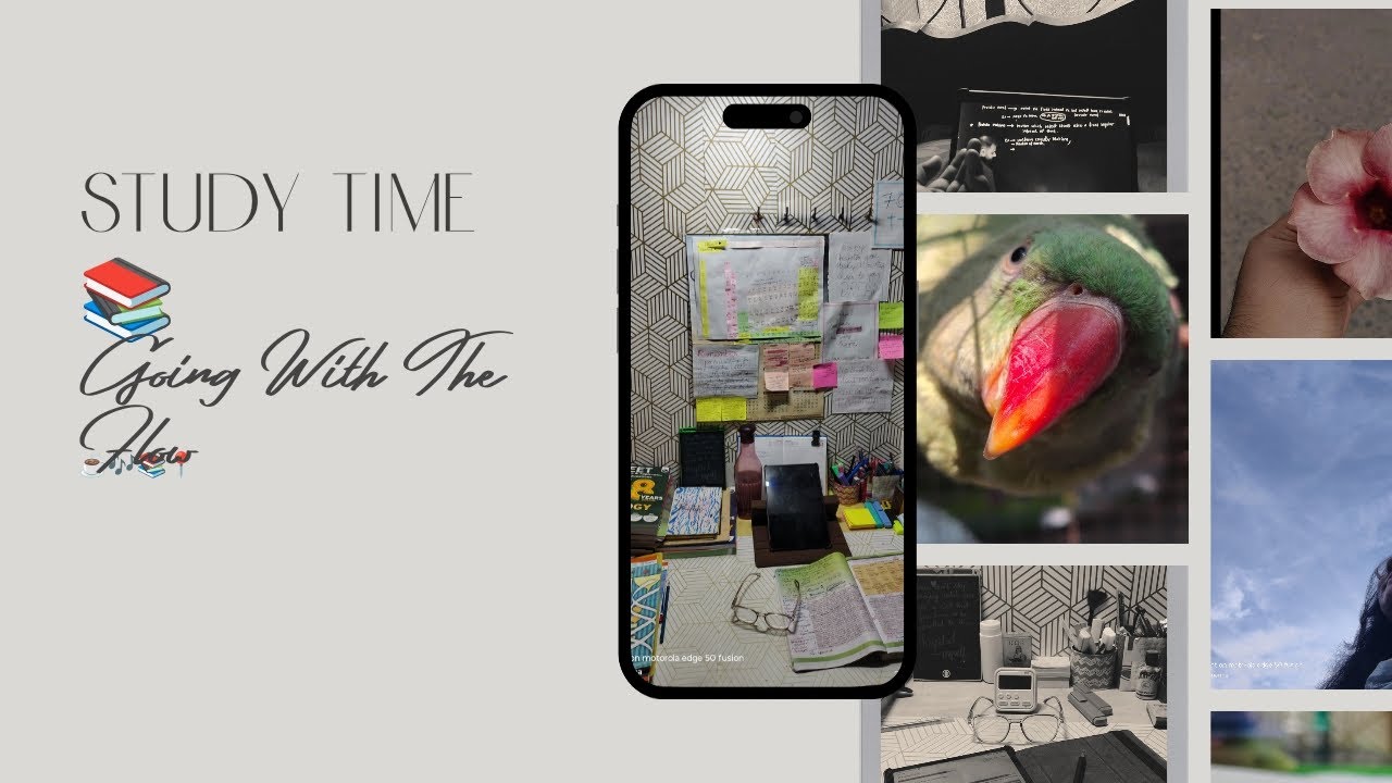 soft sunrise, study sessions & little moments 🌿 | My soft study day ...
