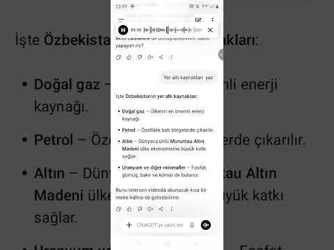 10 B TÜRK DÜNYA COĞRAFYASİ  İSMAİL MUHAMMED ENGİN SADIK GRUBU 