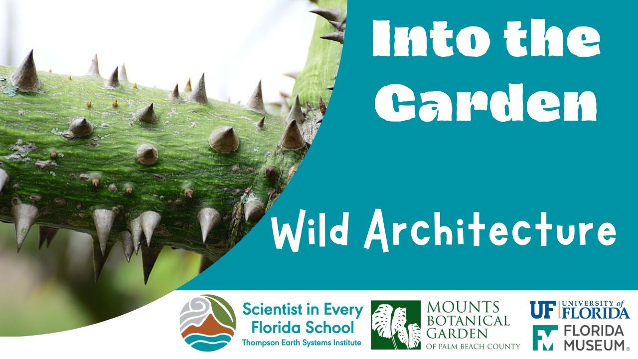 Into the Garden: Wild Architecture - YouTube