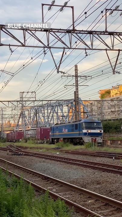(貨物列車) 2024/09/21 1084レ EF210-317 + コキ17B (大阪タ〜仙台タ) #Shorts - YouTube