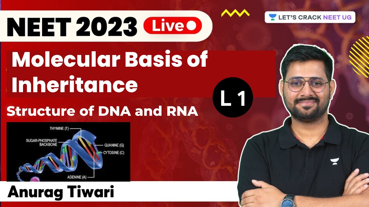 Molecular Basis of Inheritance | Structure of DNA and RNA | L 1 | NEET ...