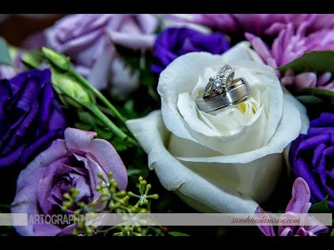 Halifax Wedding Photographers Juno Tower Wedding Highlight Reel