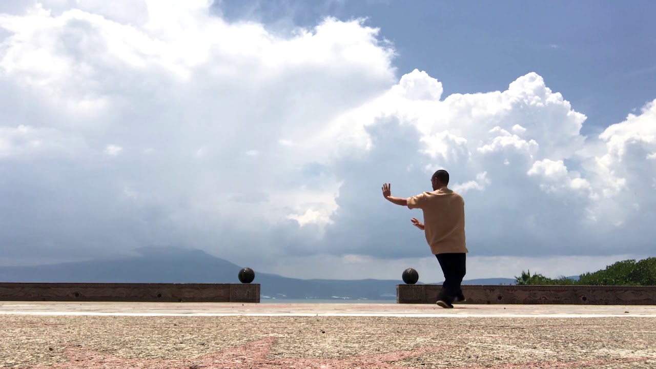 Ba Gua Zhang by Master Liu Deming - YouTube