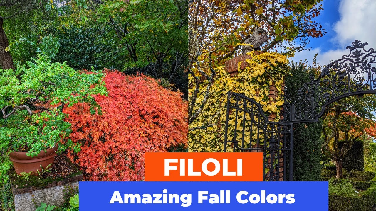 FALL AT FILOLI - Best Time to Visit Filoli Gardens - Filoli Gardens ...