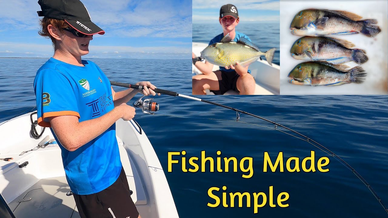 Catching Live Bait, Tusk Fish & A Massive Trigger - Back to basics # ...