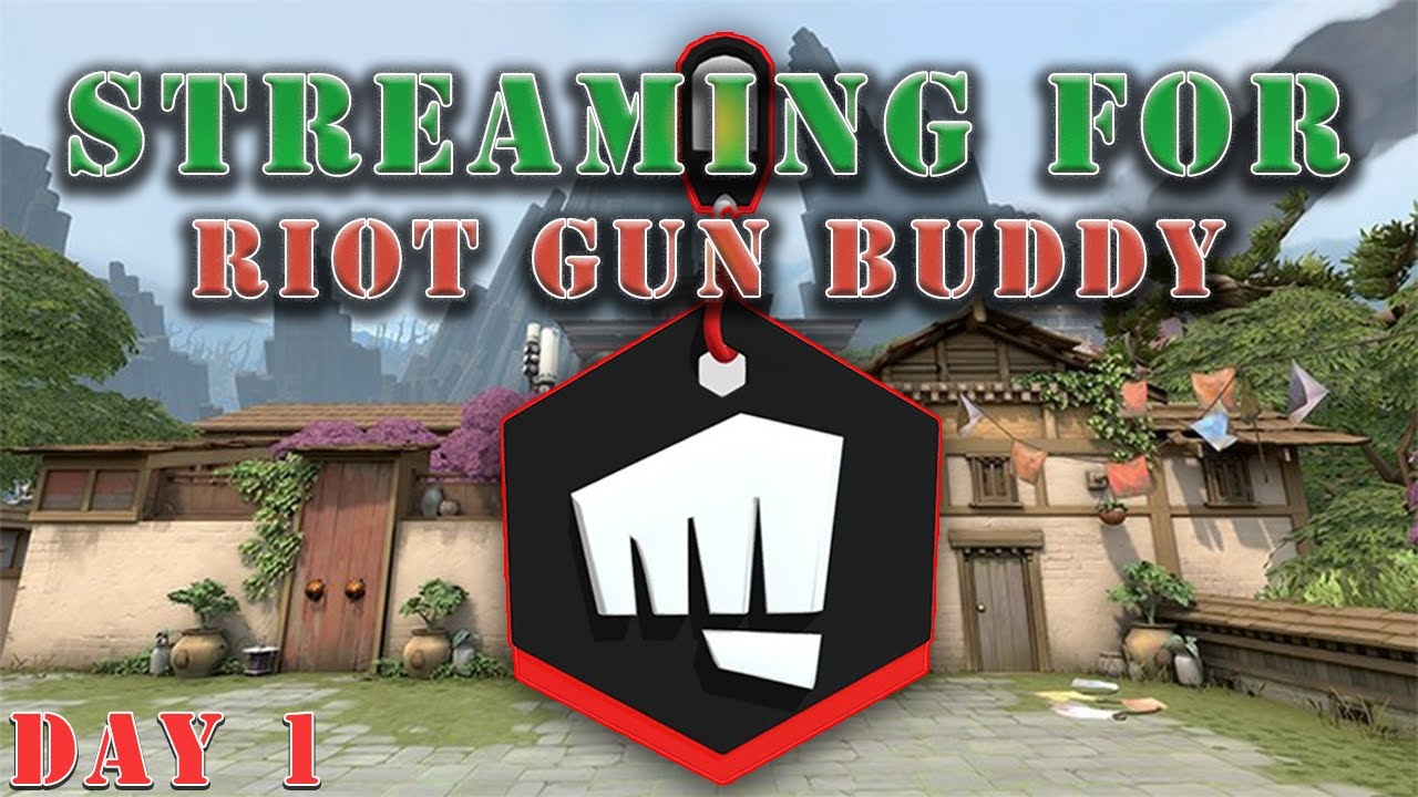 RIOT GUN BUDDY COME HOME! PART 1 #MehaBro #live #valorant - YouTube