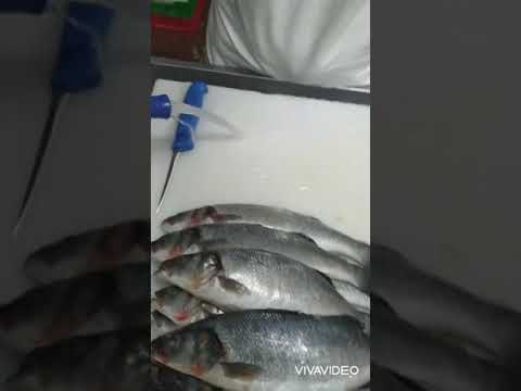Balık fileto kesimi