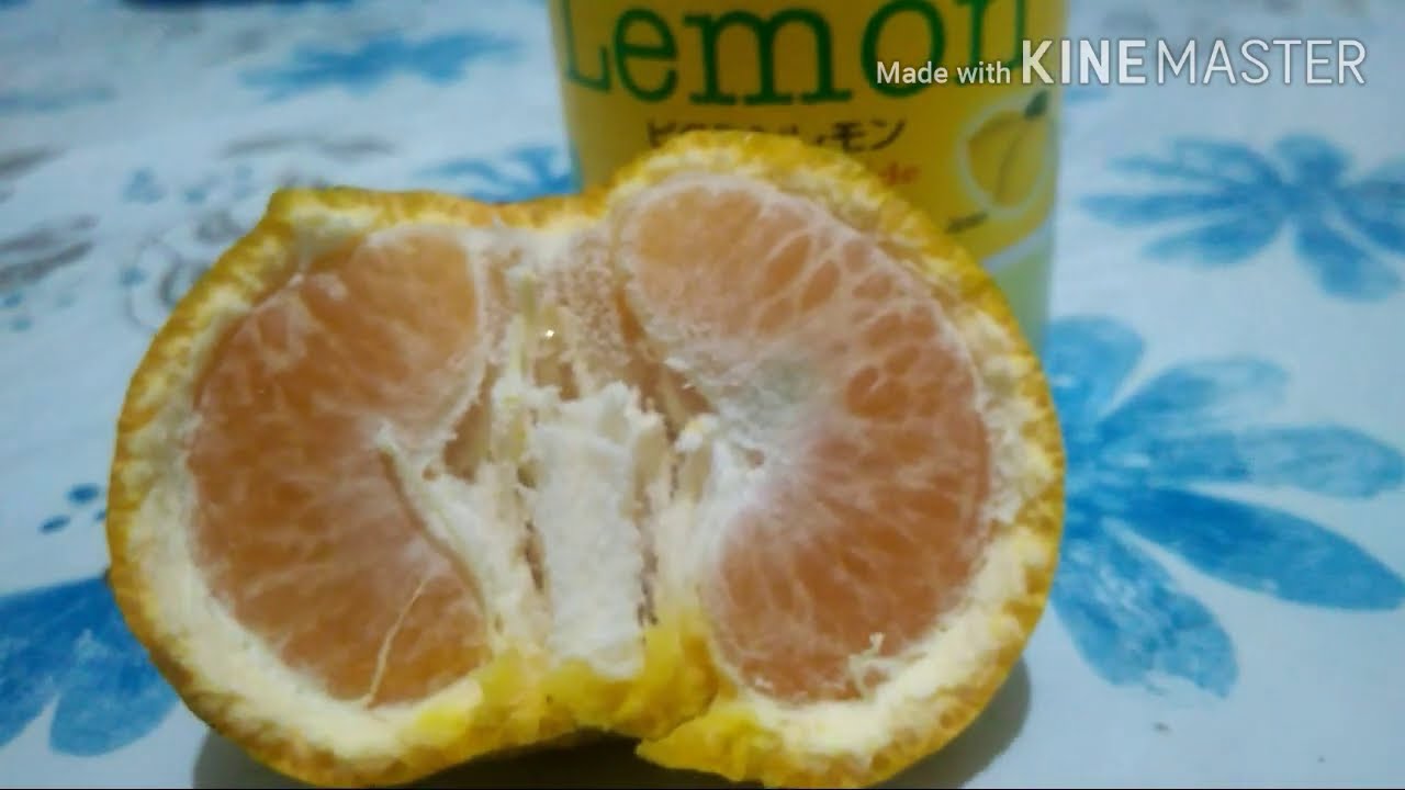 BARU - IKLAN UC 1000 DENGAN LEMON ASLI - YouTube