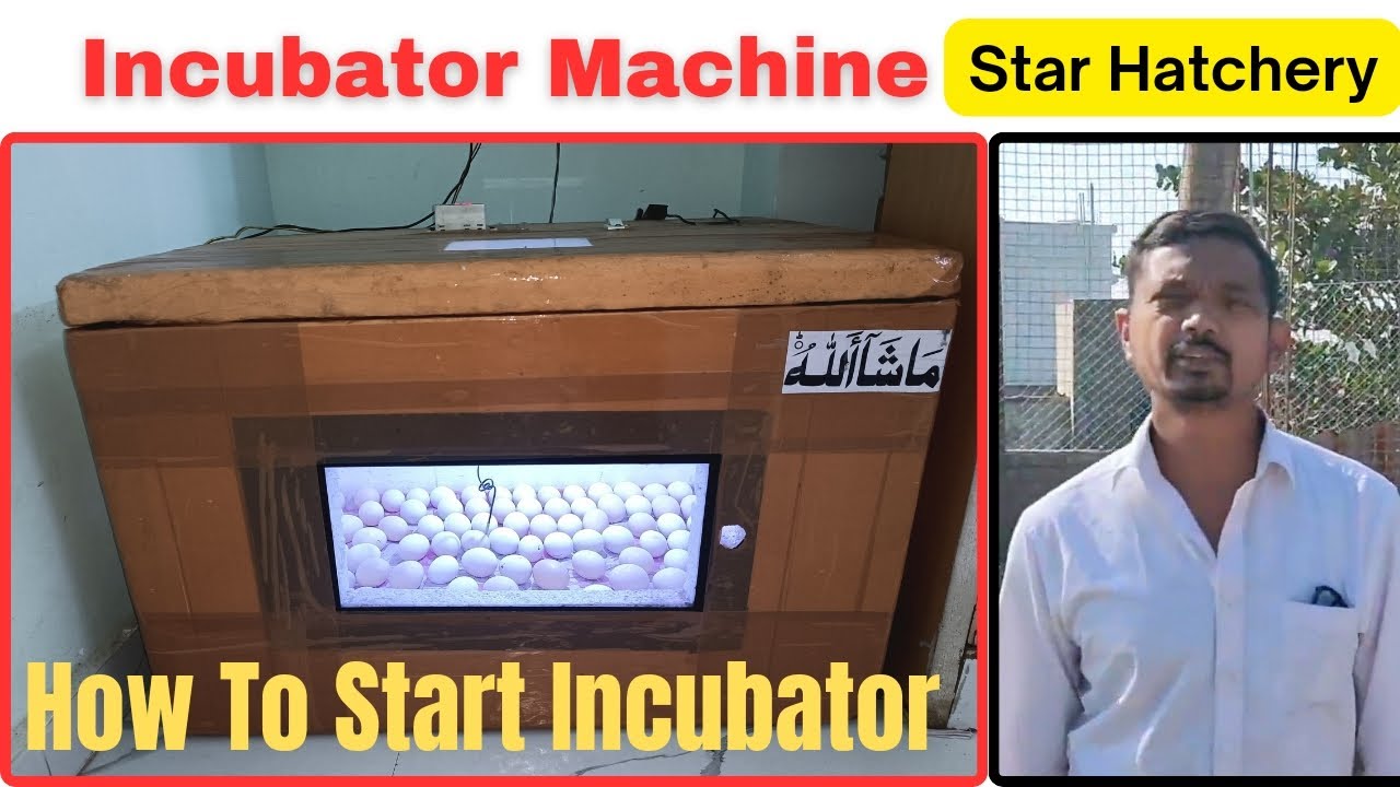 How To Start Incubator Machine | Star Hatchery - YouTube