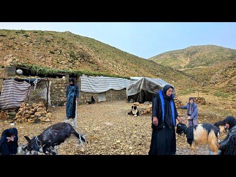 İranın Köçəri Həyat Tərzi 🏔️ | Ürəkparçalayan Bir İtki və Dağlarda Yaşamaq Mübarizəsi