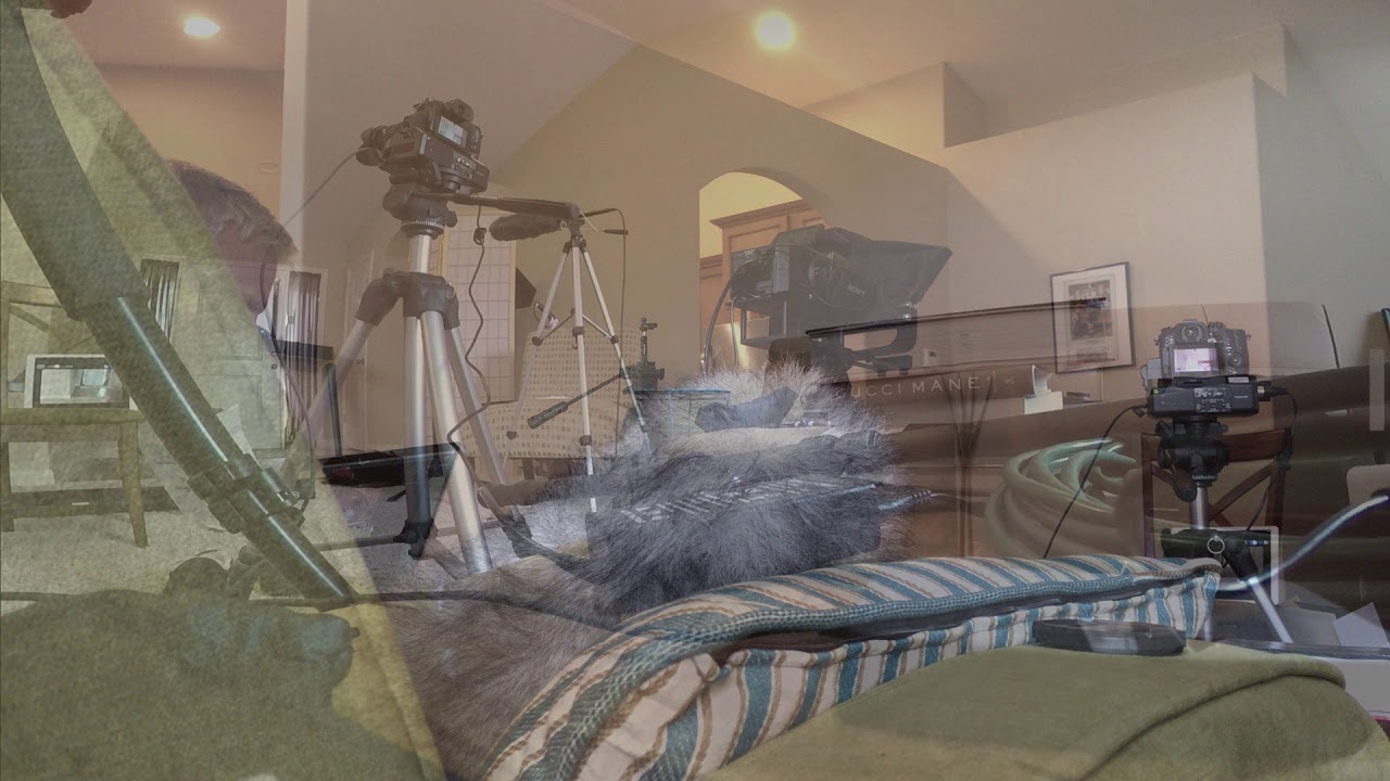 Test of vMix and iOS NDI Cameras, Roland VR-4HD, GoPro 4, Sony FS100 ...