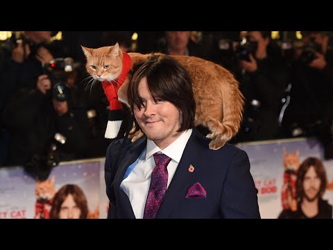 Famous feline from 'A Street Cat Named Bob' dies at 14-ish