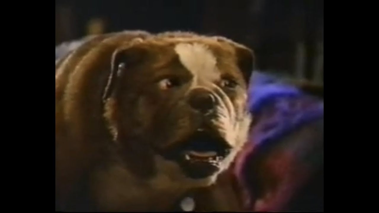 Poochinski - DVD-R Hell - YouTube