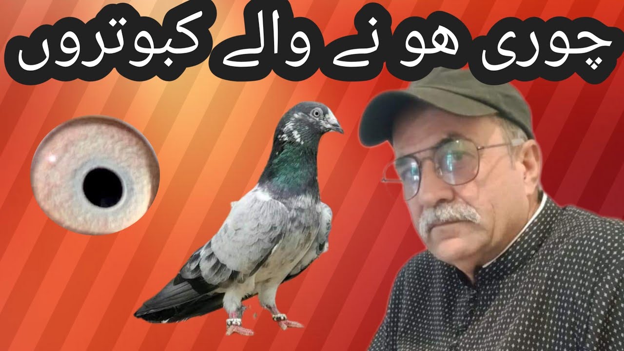 Ustad Chaudhry Moin Nawaz Ghaman of Sambaryal ki chat se shoq - YouTube