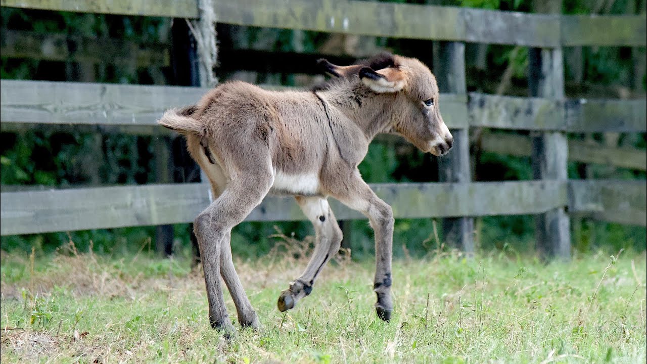 Ruby and Tuesday - YouTube