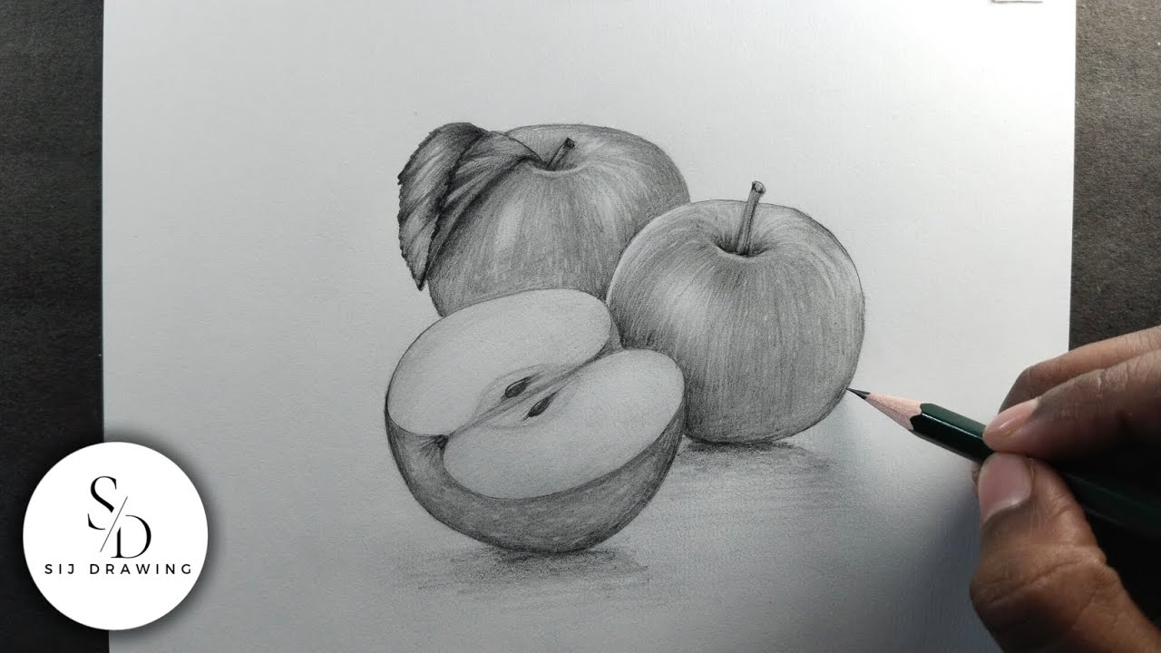 How to draw a Realistic Apple || Easy apple drawing tutorial step by step - YouTube