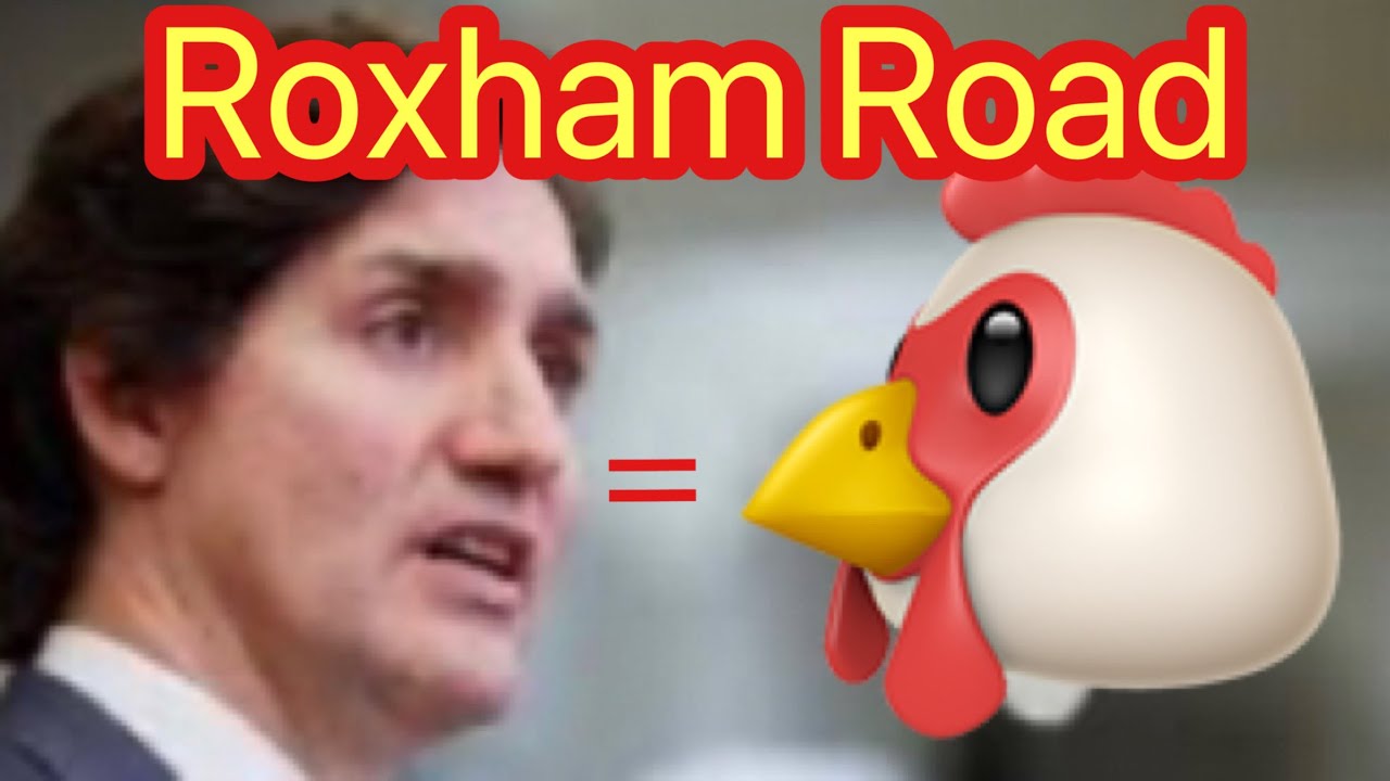 Justin Trudeau Must Be Too Chicken To Do Anything About Roxham Road ...