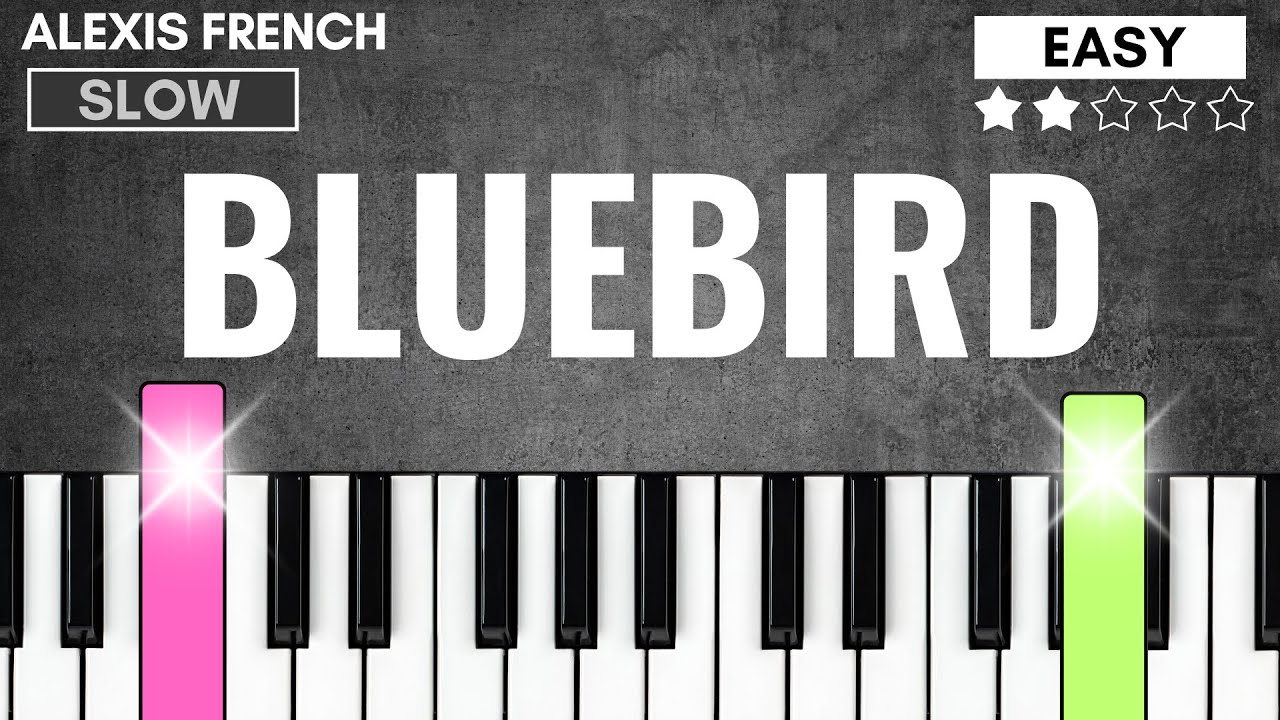 Alexis French- BLUEBIRD | SLOW EASY PIANO TUTORIAL - YouTube