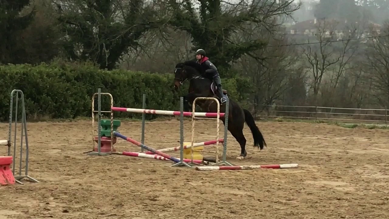 Stallion by Quaprice Bois Margot X Quinar 9 years - YouTube
