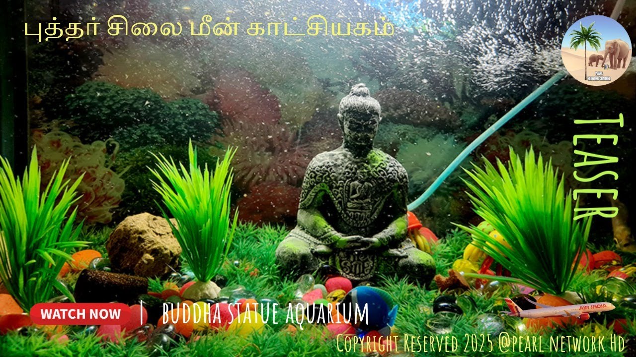 WATCH BUDDHA UNDER WATER FISH AQUARIUM -- MEDITATION MUSIC 5 min - YouTube