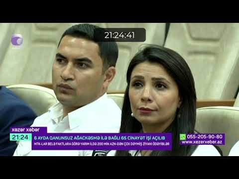 Xəzər TV - 6 ayda qanunsuz ağackəsmə ilə bağlı 65 cinayət işi açılıb