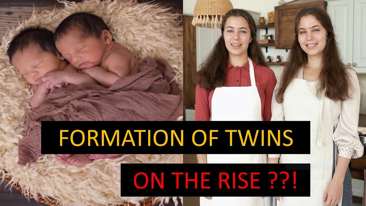 Formation of Twins | Identical Twins and Fraternal Twins - YouTube