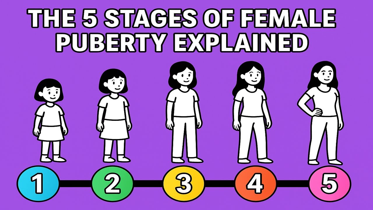 The 5 Stages of Female Puberty Explained - YouTube