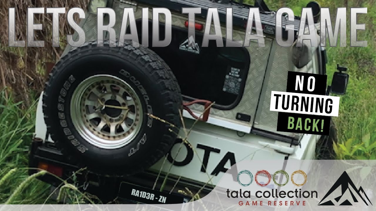 Lets Raid Ep3 - Tala Game Reserve - YouTube