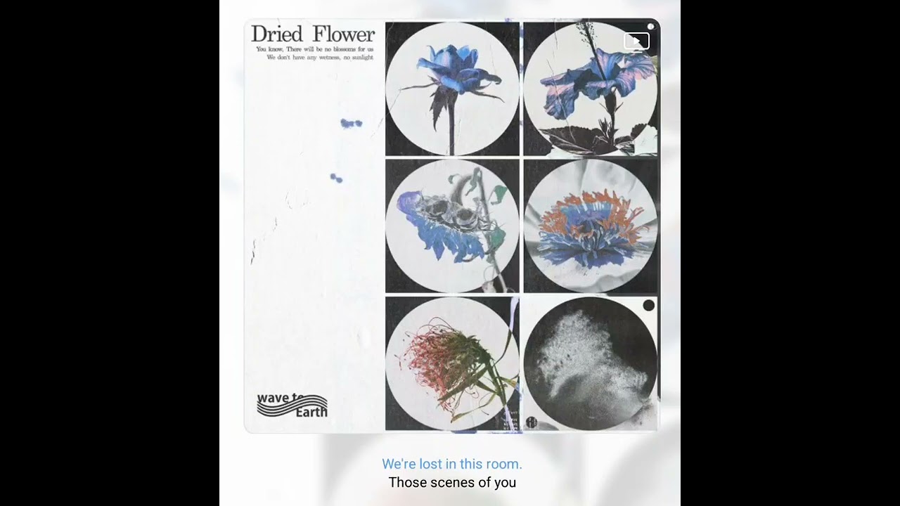 Wave To Earth Dried Flower Chords Chordify