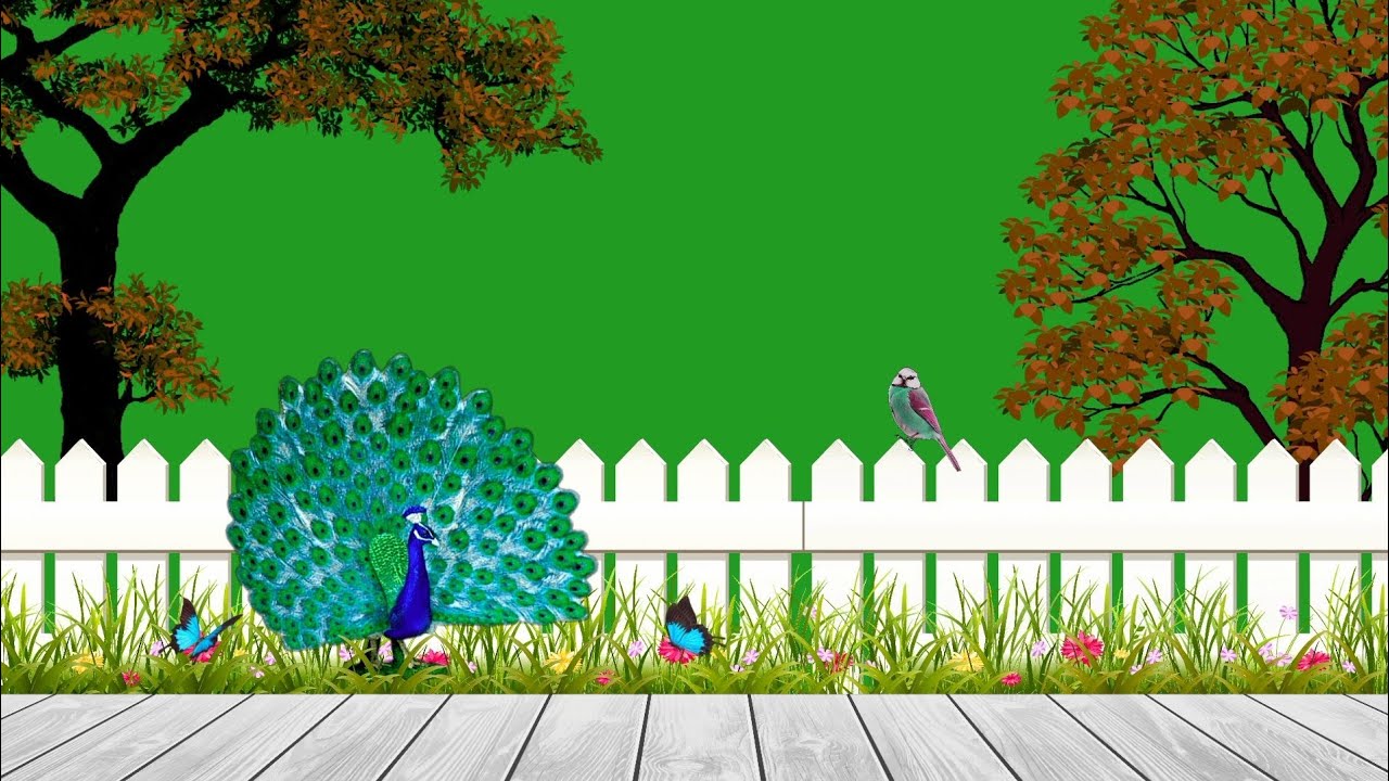 Free Green Screen Background Video Effects hd / New Green Screen ...