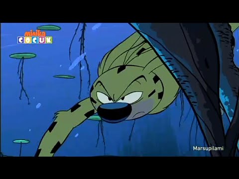 Marsupilami · 3.Sezon 26.Bölüm · Nehirdeki Canavar · Minika Çocuk