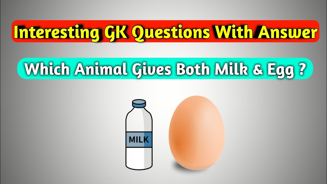 Interesting GK Quiz Interesting GK Questions Interesting GK Facts interesting-gk-quiz-interesting-gk-questions-interesting-gk-facts