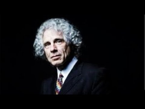 Noam Chomsky on Steven Pinker - YouTube